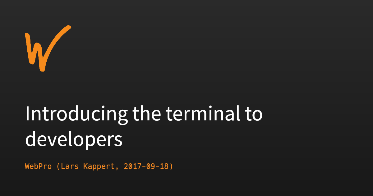 Introducing the terminal to developers